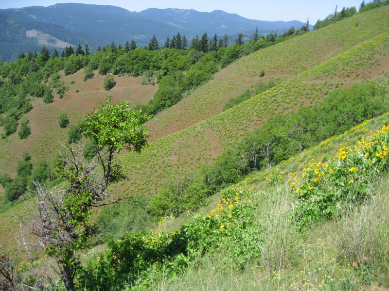 2015 Annual Meeting - Field Trips